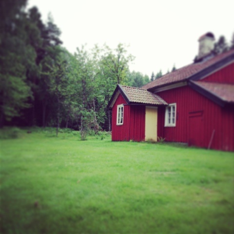 Rött hus, vita knutar – Kompis Hundträning